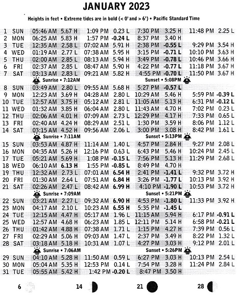 Tide Schedule – Yo, Banana Boy!